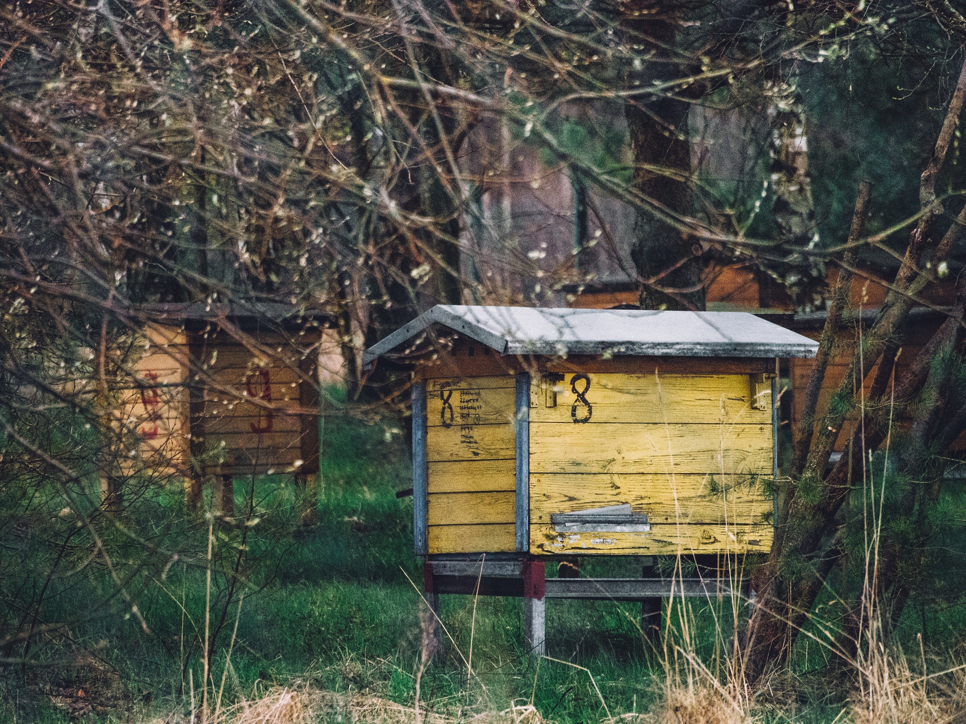 Hive Managed Vs External Tables